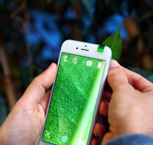 BLIPS Full Kit - Kreativa